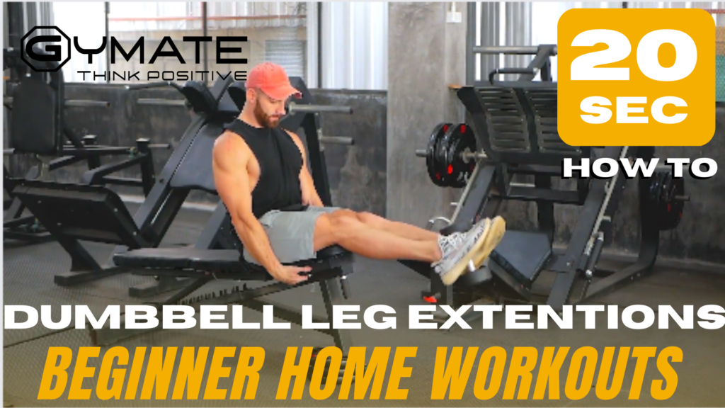 How To Dumbbell leg extension for Beginners - Gymate